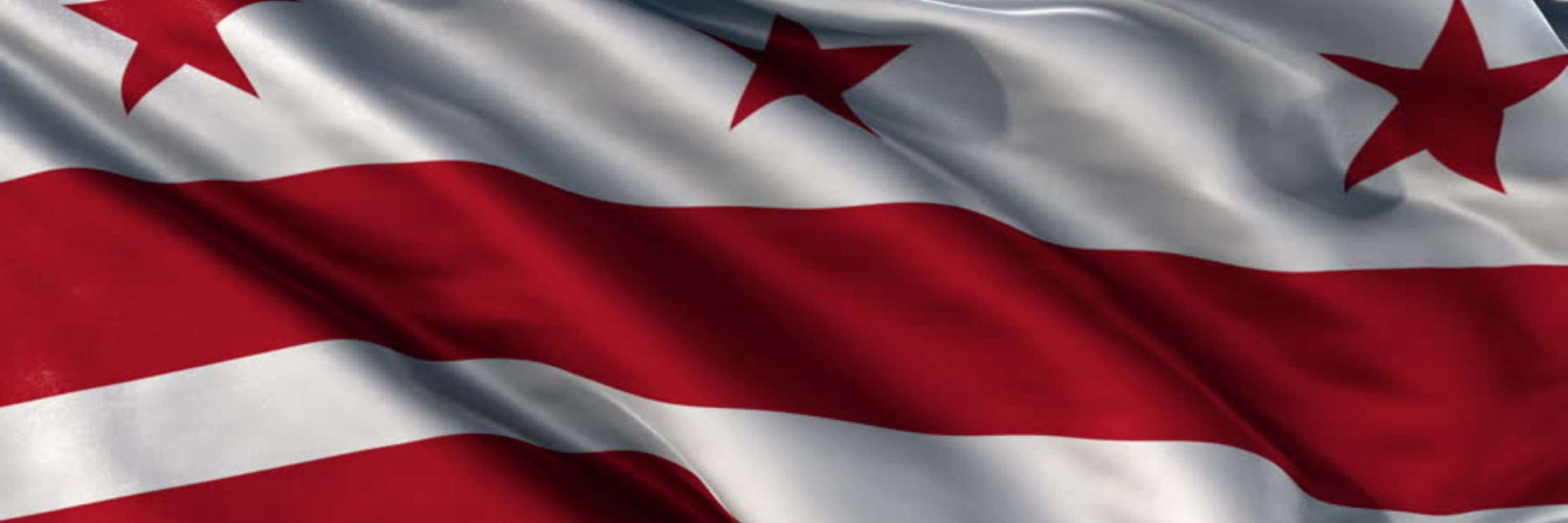 Brady List | Potential Impeachment Disclosure [PID] Database